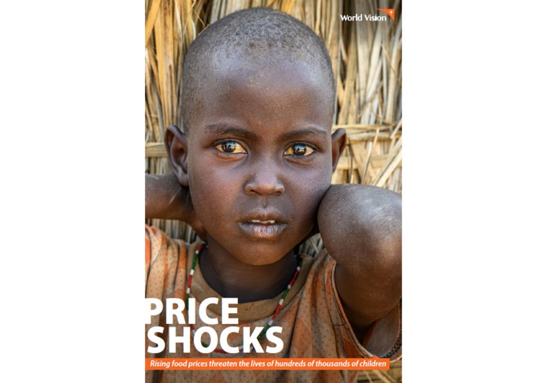 Price Shocks - World Vision