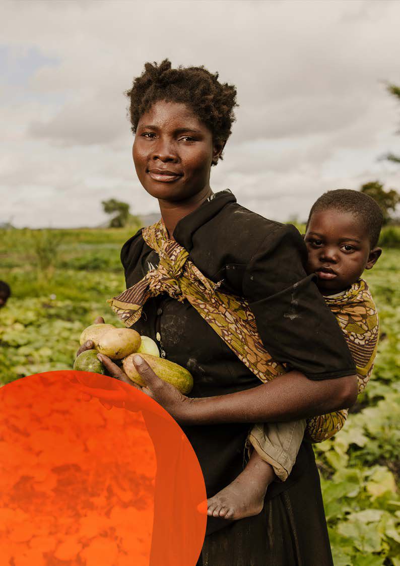 Price Shocks 2025 - World Vision